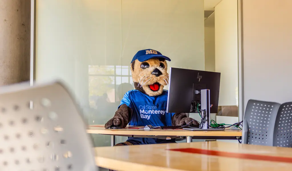 Information Technology | California State University Monterey Bay