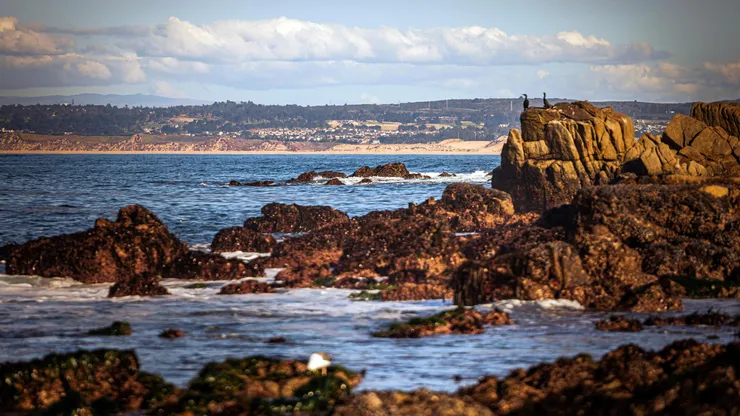 Visit Campus | California State University Monterey Bay