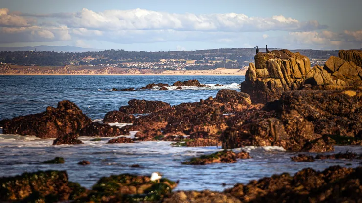 Visit Campus | California State University Monterey Bay