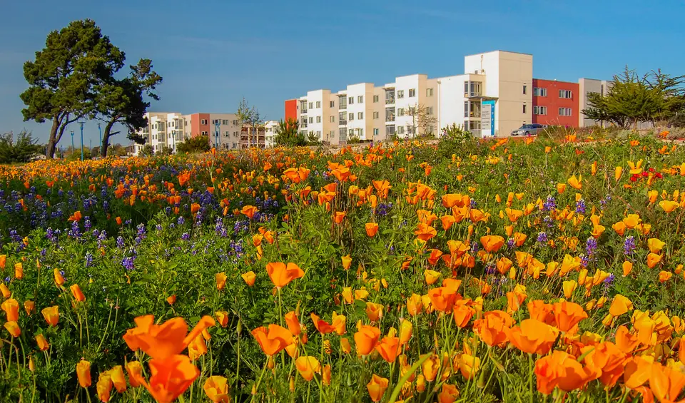 North Quad | California State University Monterey Bay